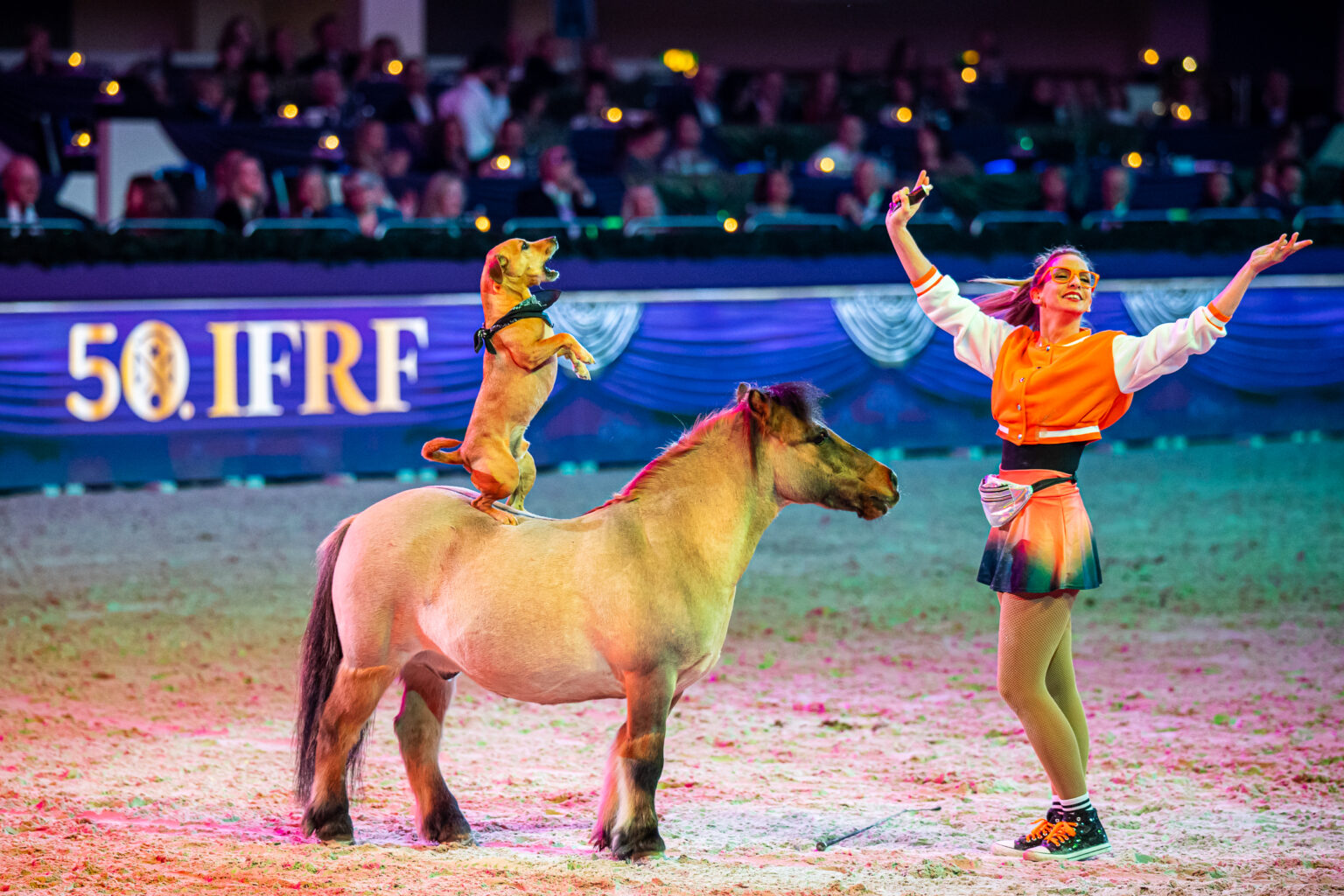 Equine Arena Displays | Arena Displays